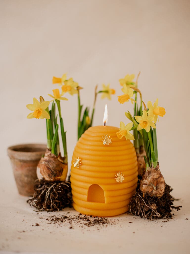 Cult French Brands ~ Apis Cera & the Art of Provence Living ...